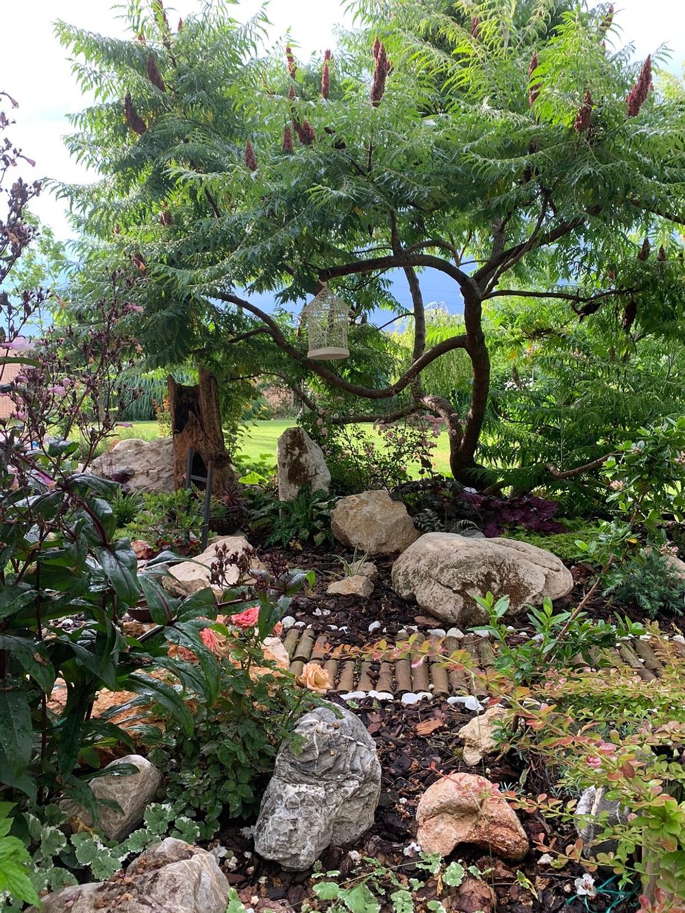 Landscaping Expertise in High Desert | Sedillo & Son