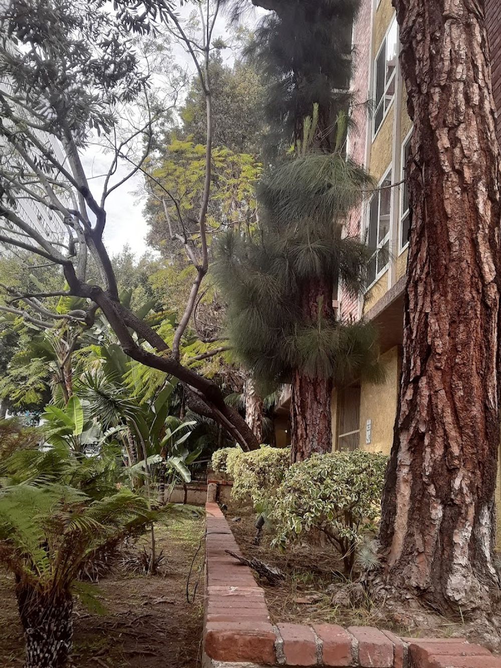 Concrete Solutions in Thousand Oaks, CA | Kal-Crete Construction