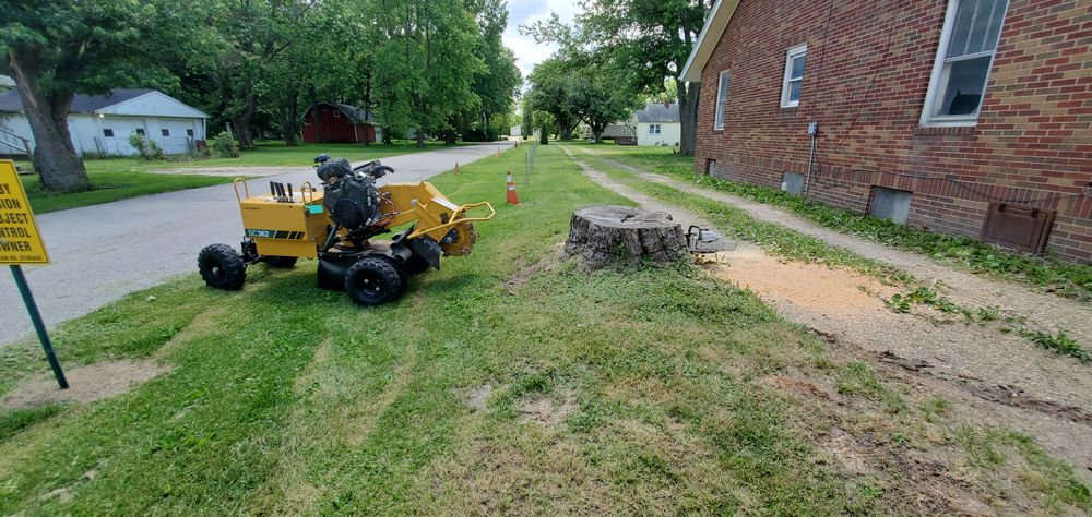 Stump Grinding Services | Peoria, IL - Aim To Tame Tree Service