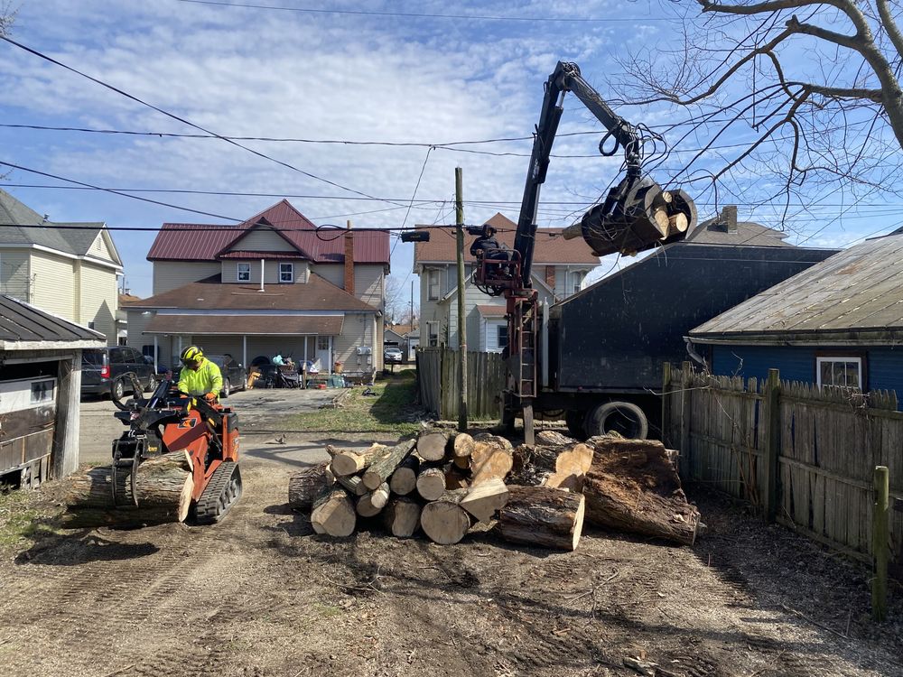 Tree Services Experts | Enhance Your Landscape | El Tree Service LLC