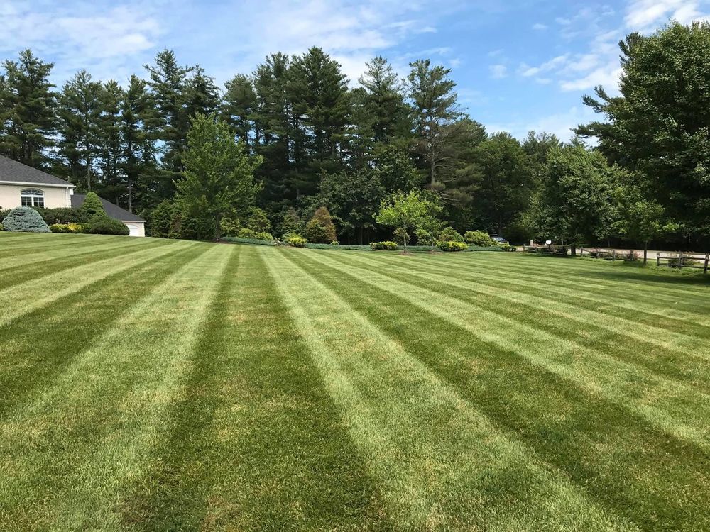 Lawn Installation Experts | Top Landscaping by Natural Landscape Concepts