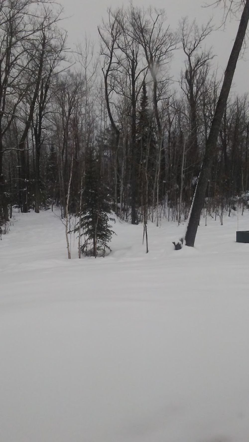 Landscaping Deer River MN | Yeti Earthworks