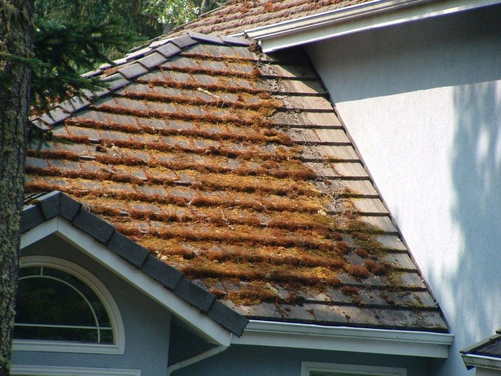 Roof Maintenance & Repairs - Enhance Roof Life | Bonn Roof Care