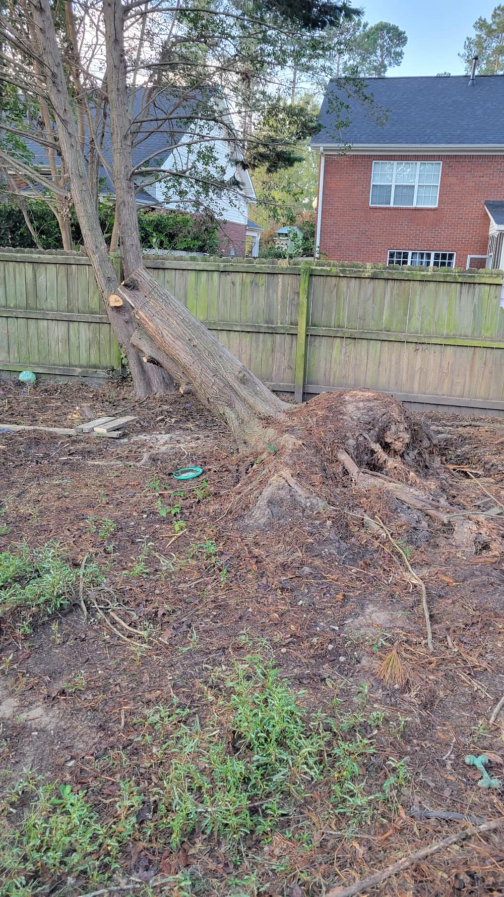 Property Clean-Ups: Revitalize Your Lawn with Green Relief Landscaping