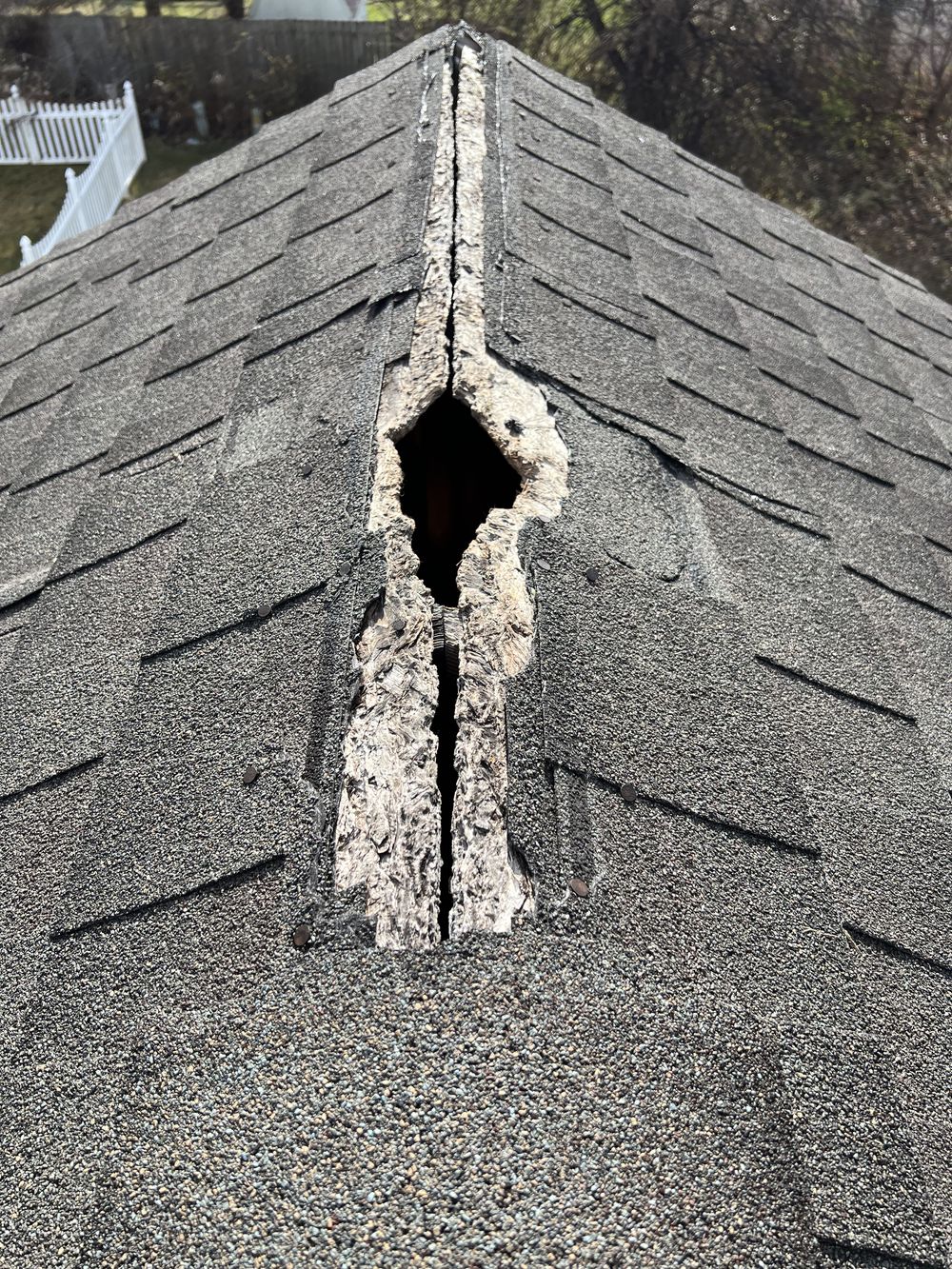 Wildlife Damage Repairs | Green Valley Wildlife Solutions