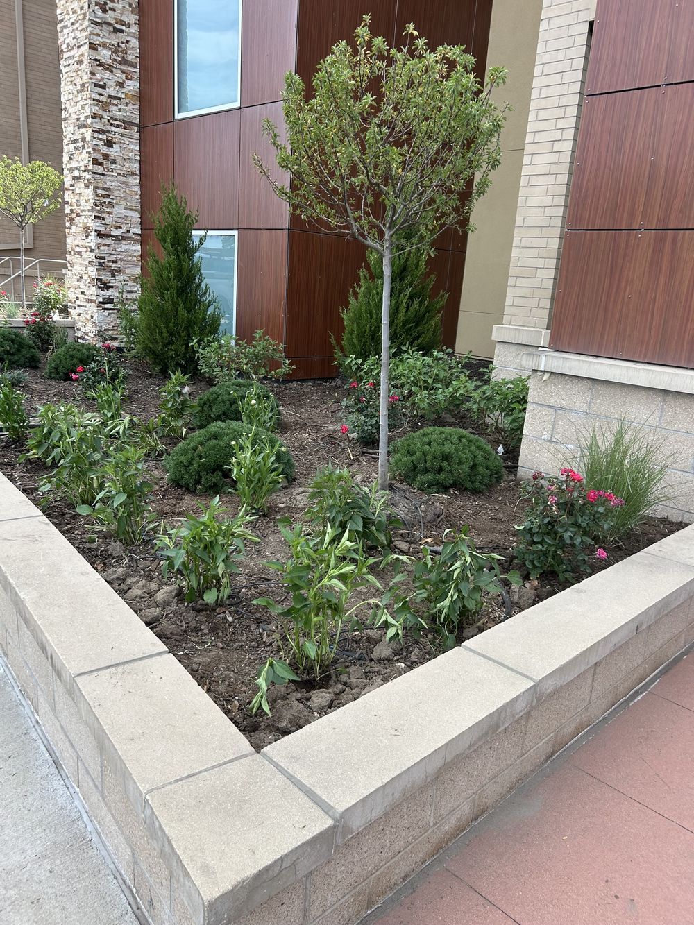 Stunning Landscape Transformation in Colorado | Nu Style Landscape ...