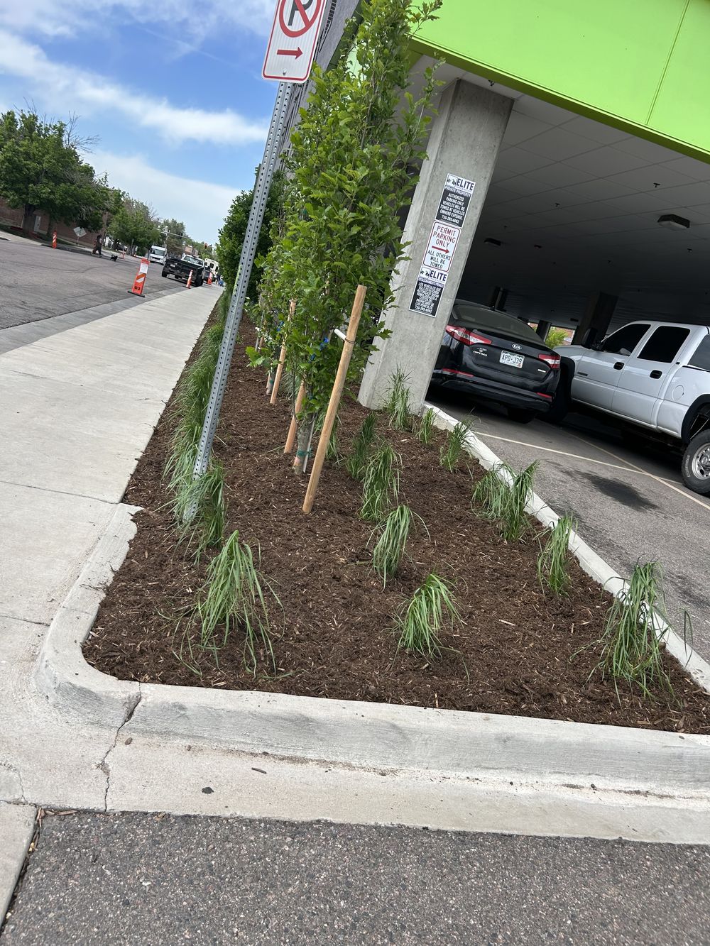 Stunning Landscape Transformation in Colorado | Nu Style Landscape ...