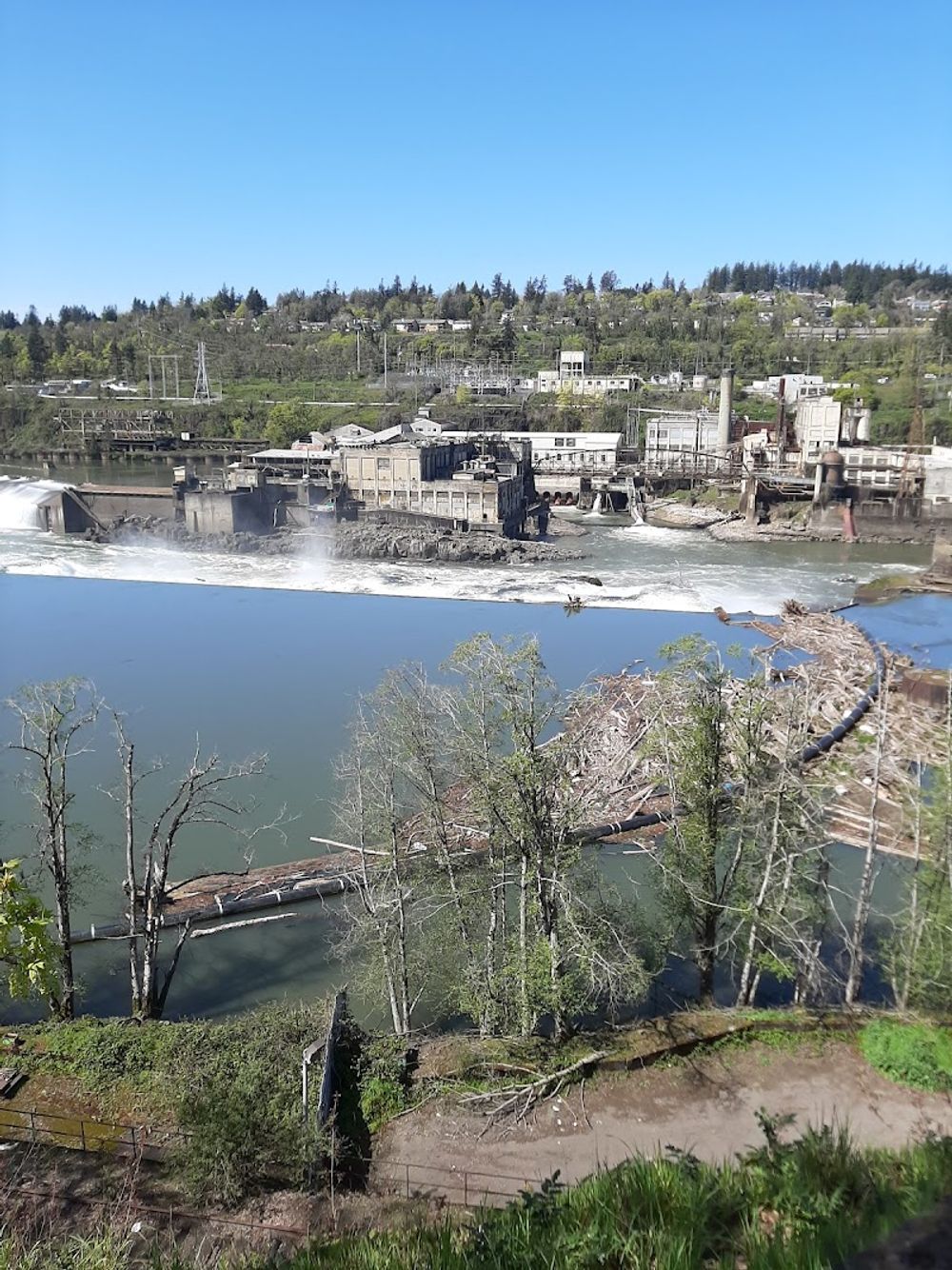 Landscaping Services in Oregon City, OR - Sage Landscapes