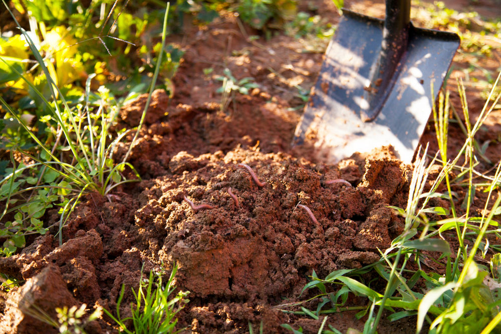 Aeration and Seeding Service in Virginia | Ground Hound Landworks LLC