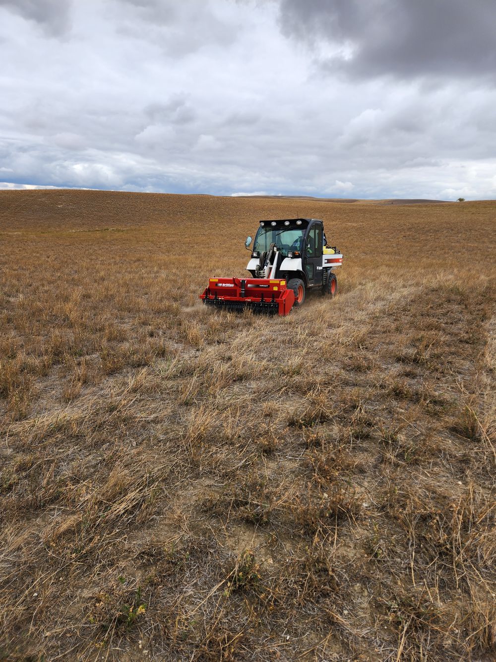 Seeding & Reseeding Services | KenCo Environmental