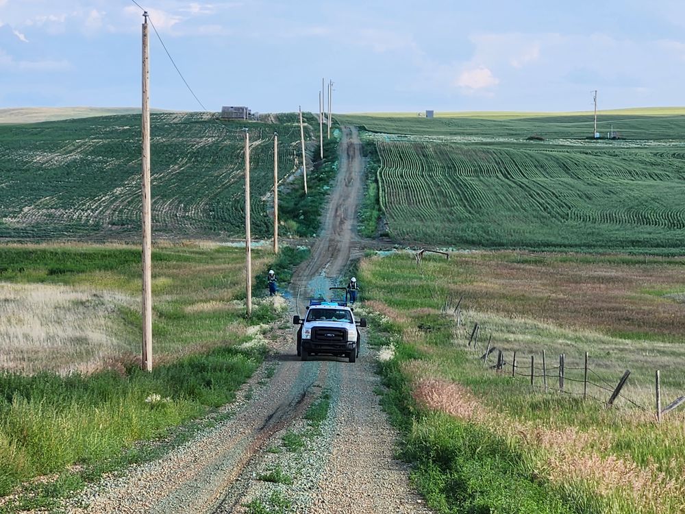 Access Road Vegetation Control Services | KenCo Environmental