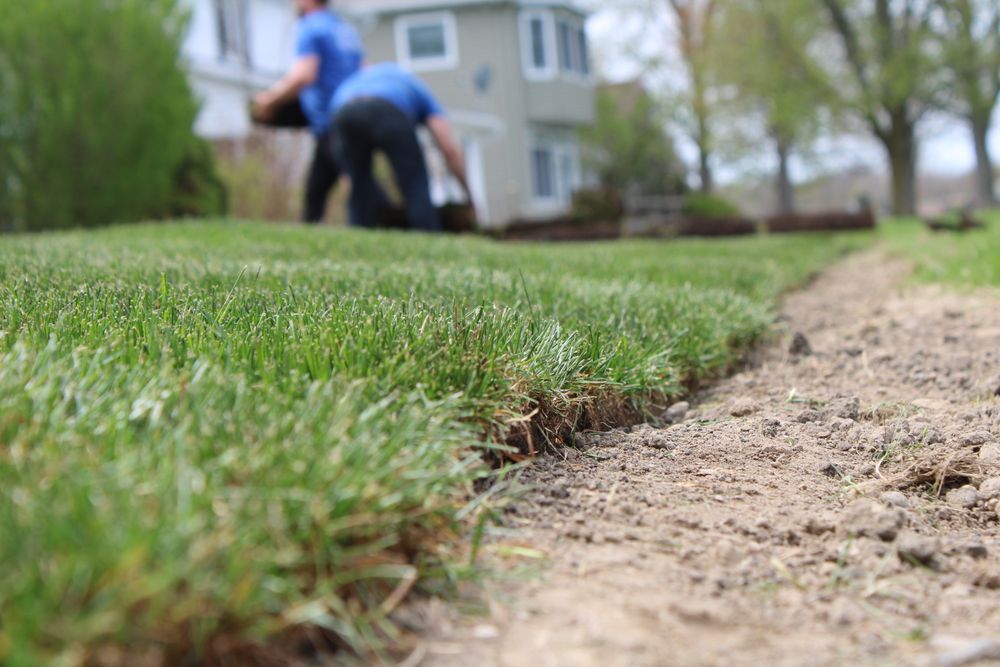 Sod Installation by the Lakeside | Elite Landscapes LLC