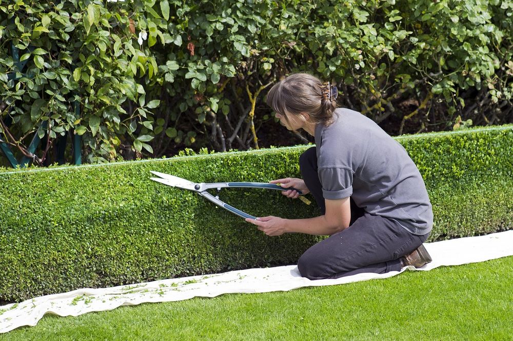 Landscape Maintenance Services in Bend & Redmond | Edge Landscaping