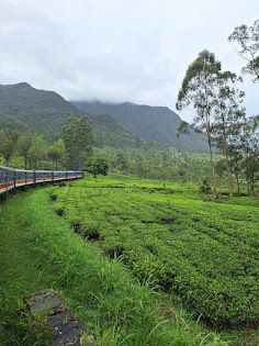 Sri Lanka | Touring Colombo, Galle, Caves & Kandy - Travel Photo Album ...