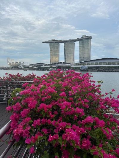 Exploring Singapore: A Journey Through the Lion City - Travel Photo ...