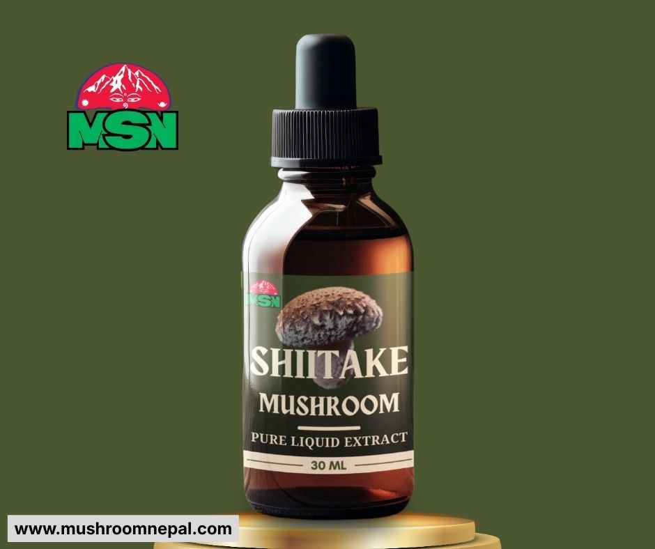 Shiitake Mushroom Liquid Extract (30ml) | Mushroom Seed Nepal