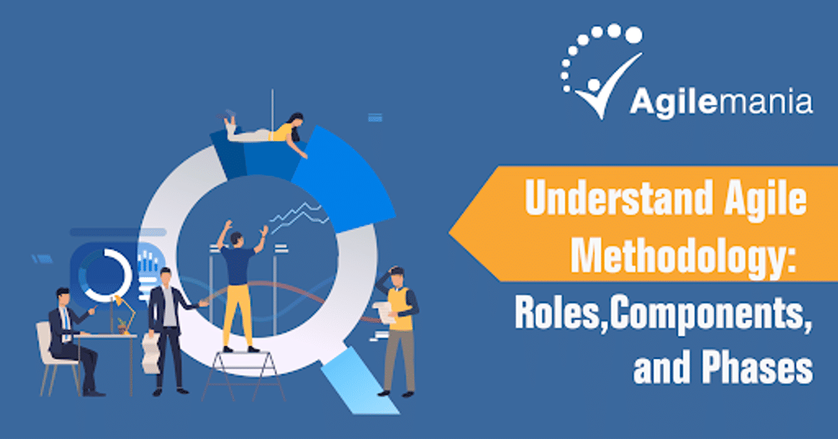 Understand Agile Methodology: Roles, Components, and Phases
