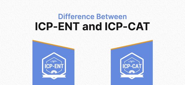 What is the focus of ICP-ENT and ICP-CAT Programs?
