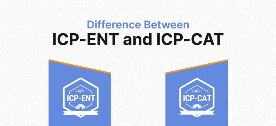 What is the focus of ICP-ENT and ICP-CAT Programs?