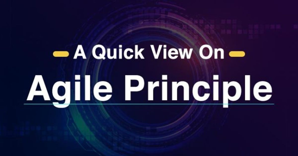 The 12 Basic Principles of Agile Project Management