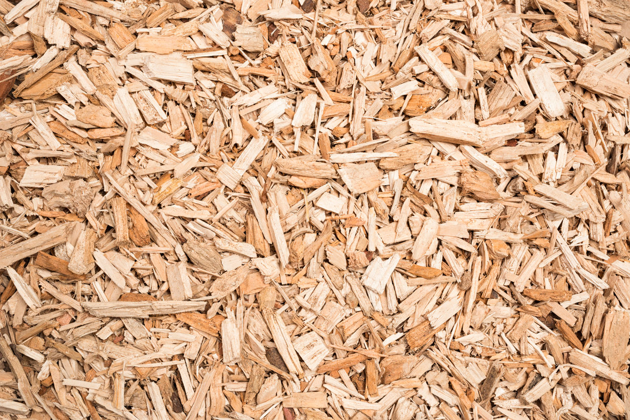 A-hout chips Den Ouden Organic