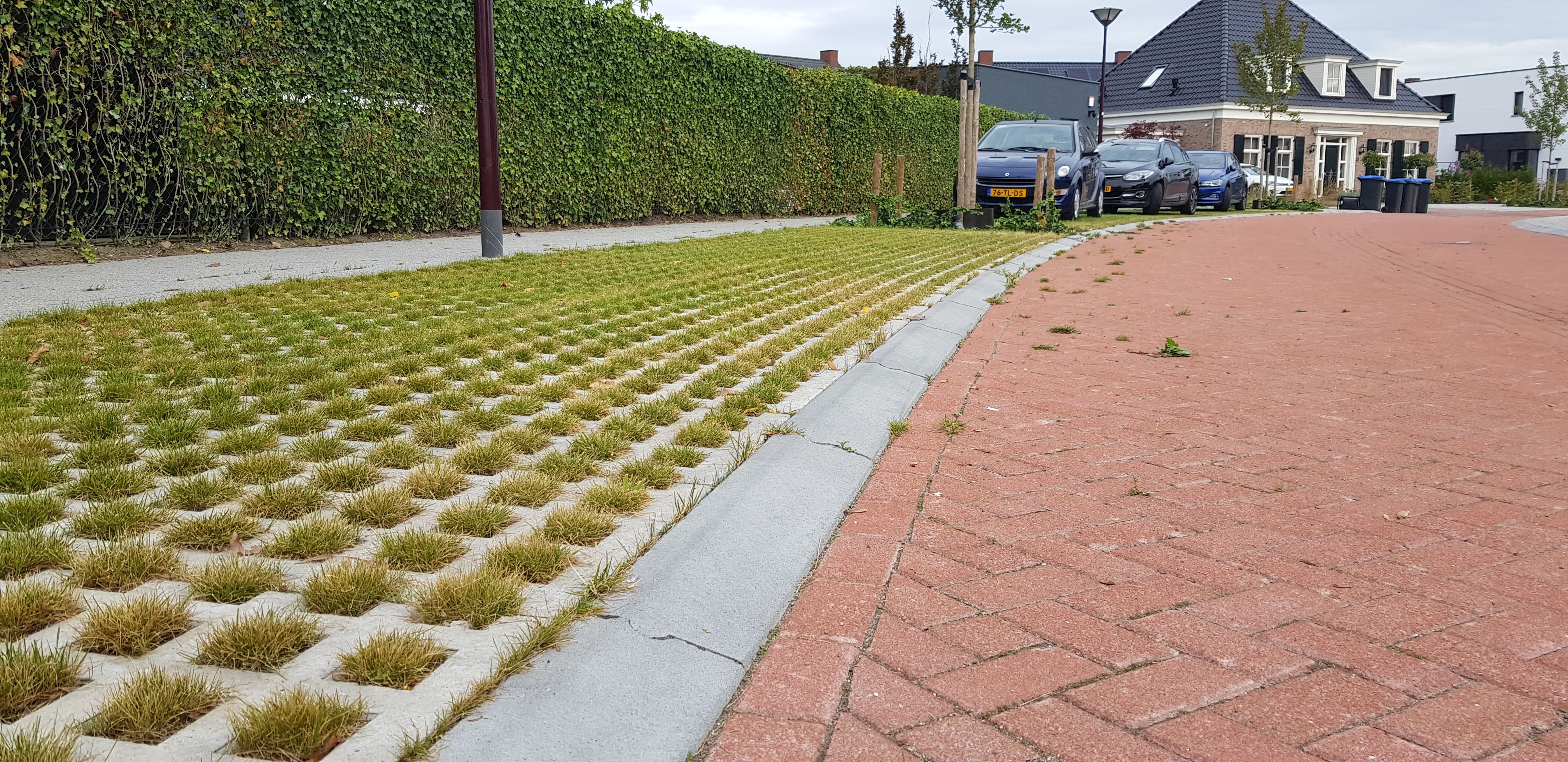 SolidGreen Inveegsubstraat | Den Ouden Organic