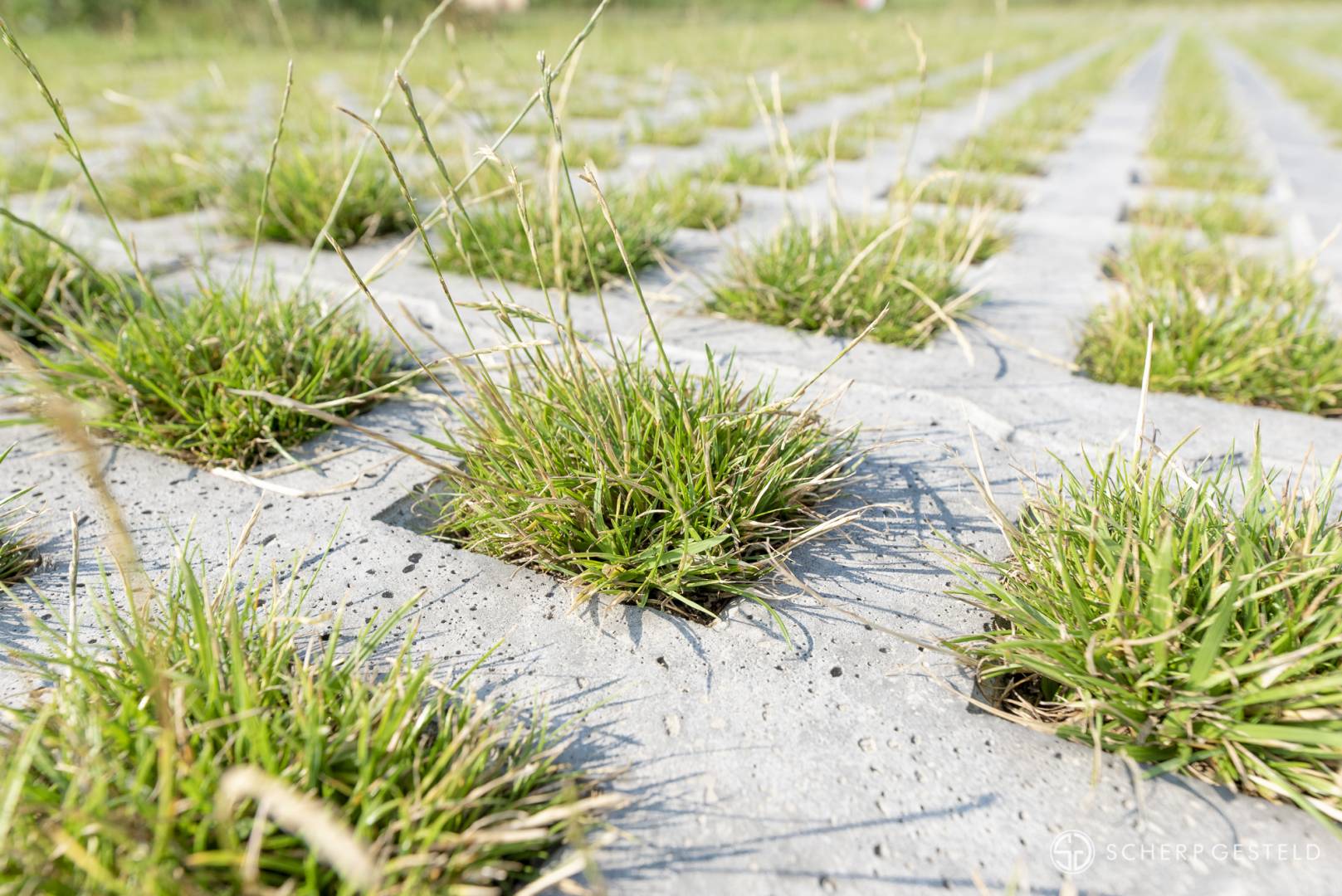 Solidgreen substraat grof BRL | Den Ouden Organic