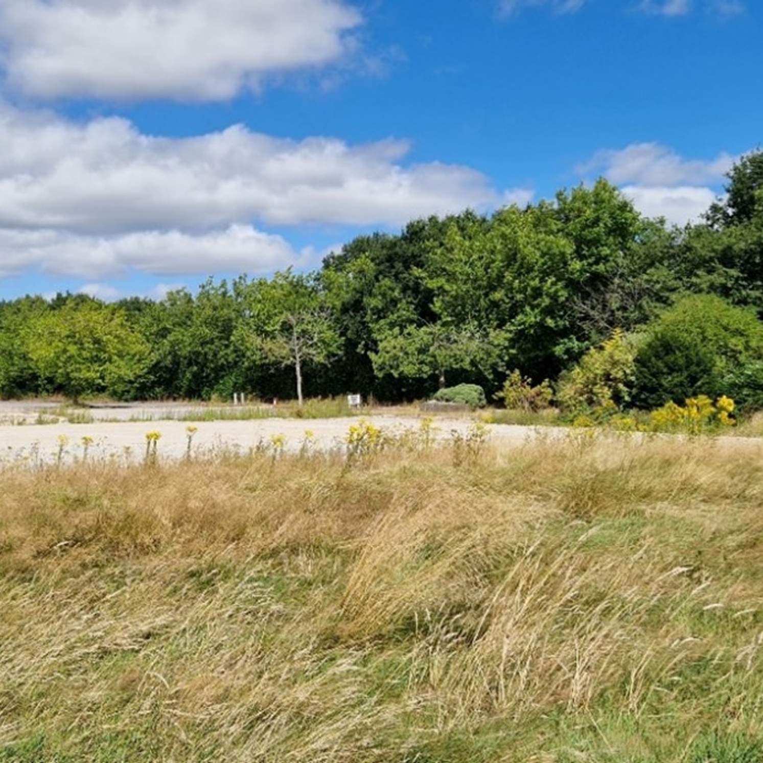 Richmond Park - Wintech Group