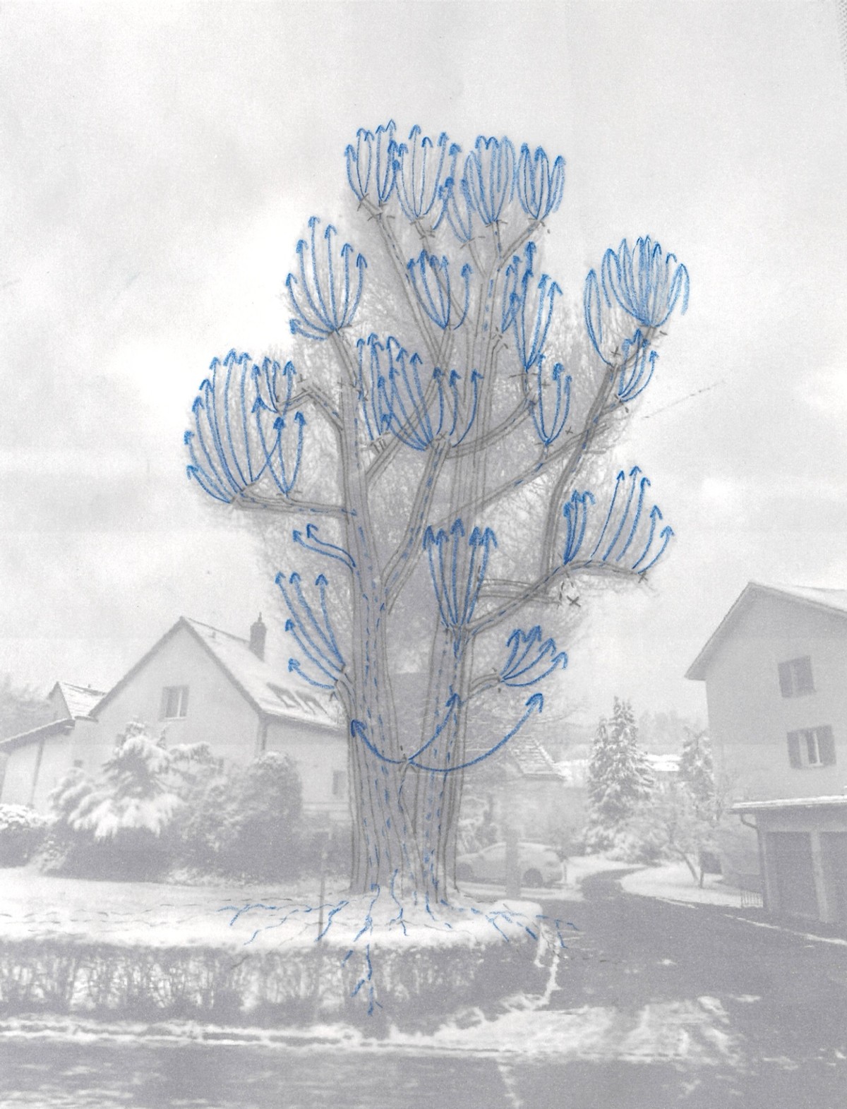 Hochparterre - Reading Trees