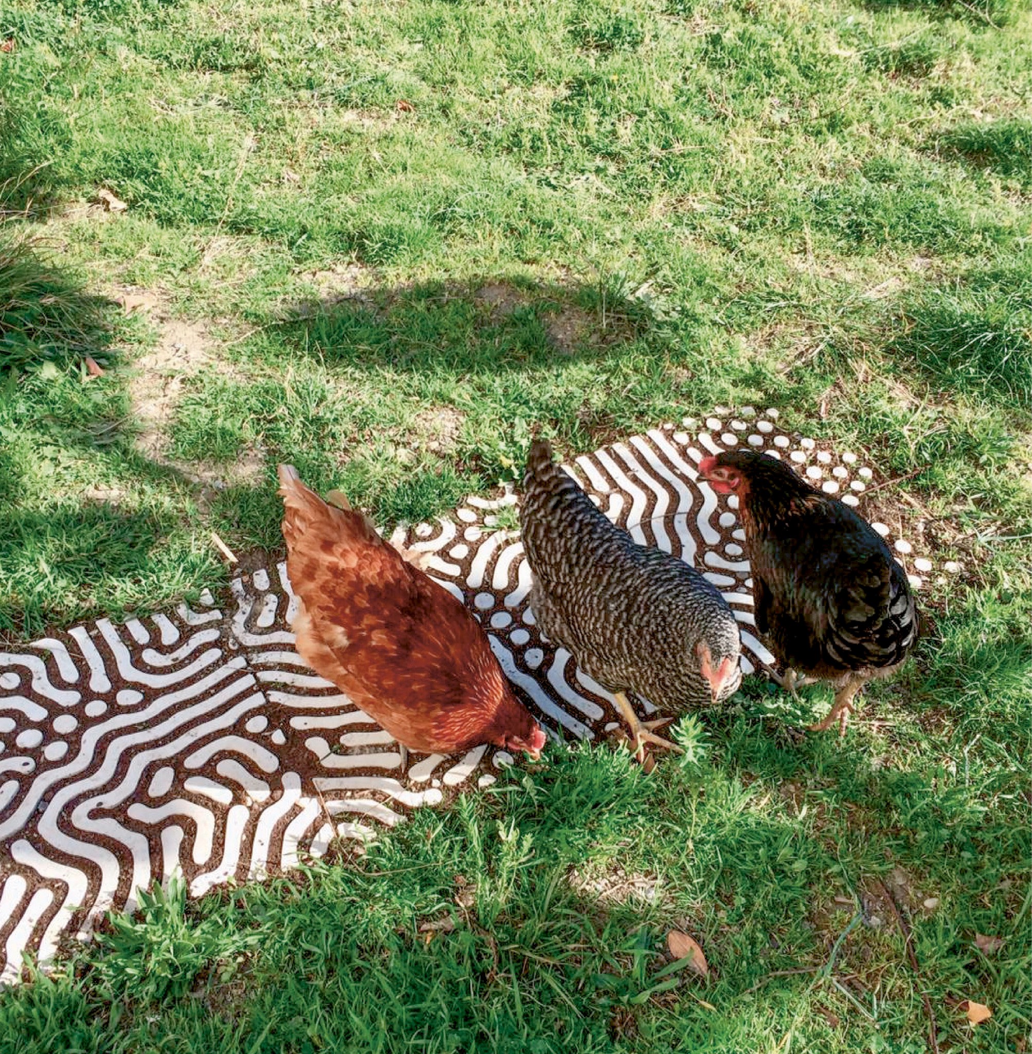 Hochparterre - «Ein Roboter ist wie ein komplizierter Hammer»