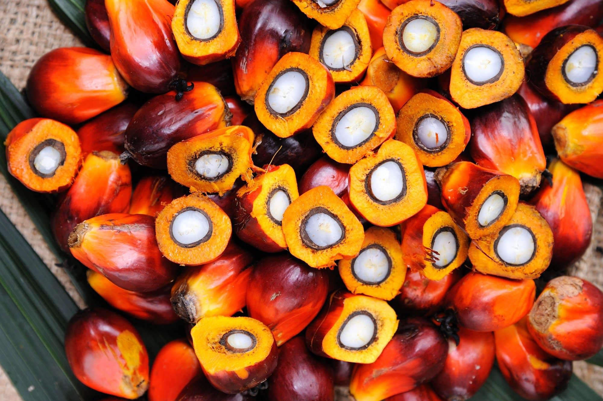 Palm Oil And What You Need To Know About It Palm Oil Benefits, Facts