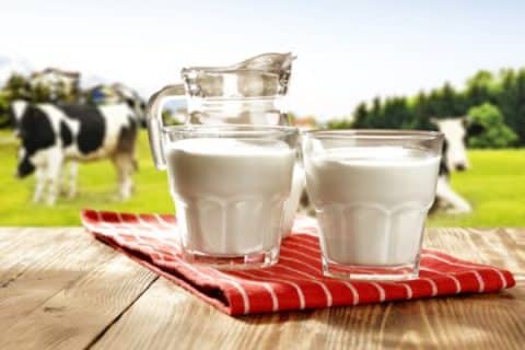 Different Types Of Milk and Why You Should Try Them - Milk Types