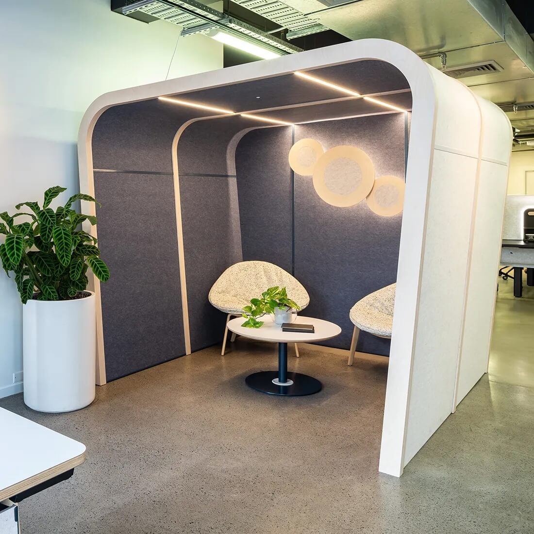 Square Bear Meeting Pods | Vidak