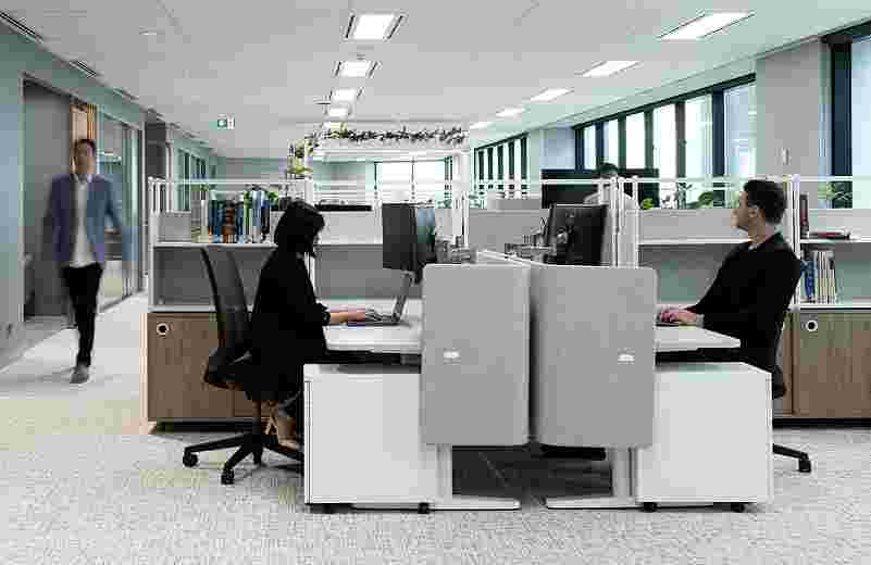 Buddle Findlay | Vidak