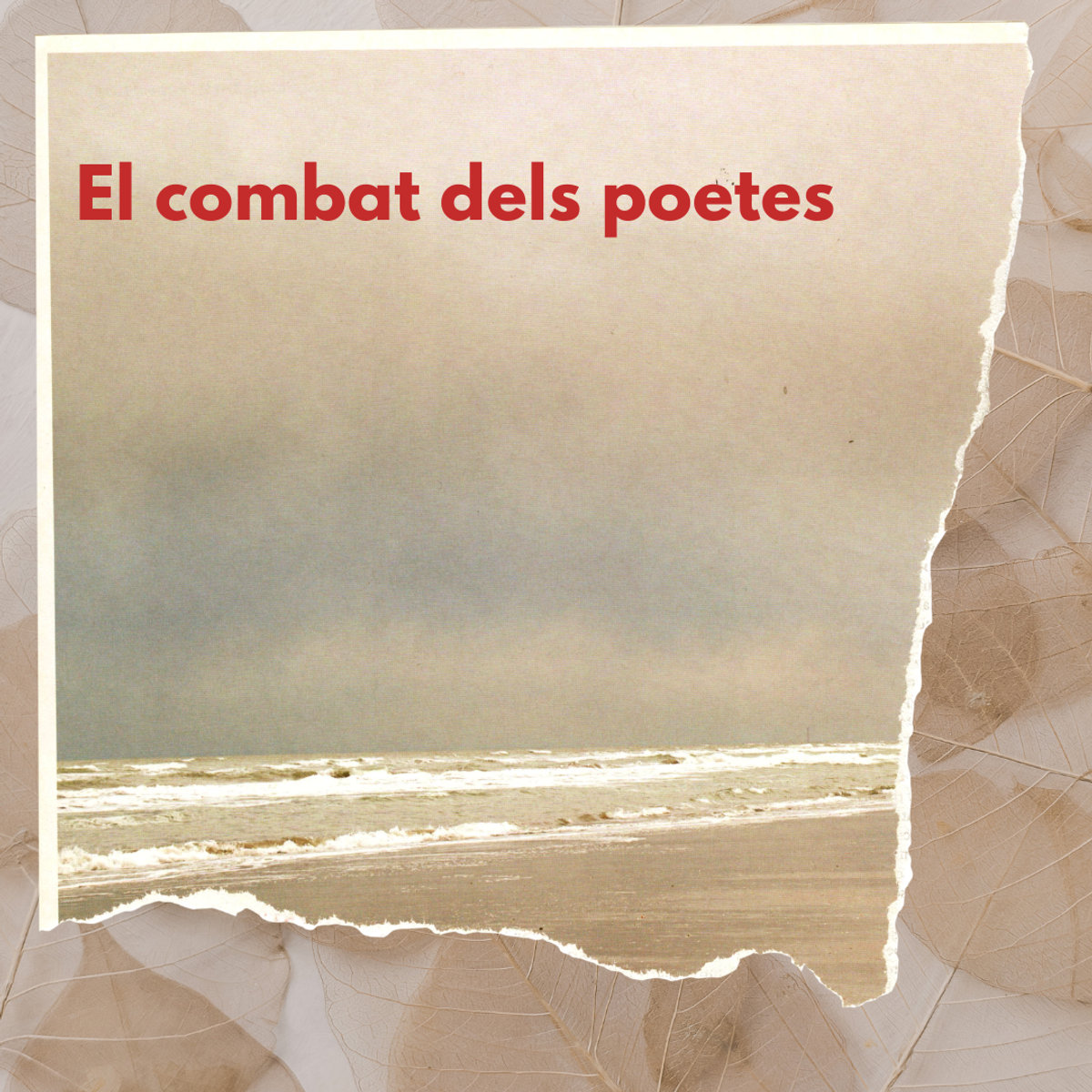 El combat dels poetes del 13/12/2016 - El combat dels poetes