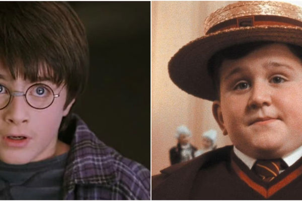 Unveiling the Untold Bond: Harry Potter's Dynamic Relationship with Dudley Unveiling the Untold Bond: Harry Potter's Dynamic Relationship with Dudley