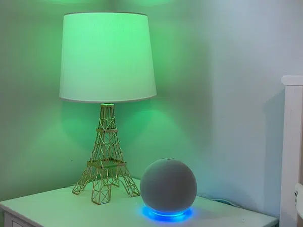 Alexa Not Responding But Lighting Up?| (Try These 5 Fixes) - Nerd Plus Art