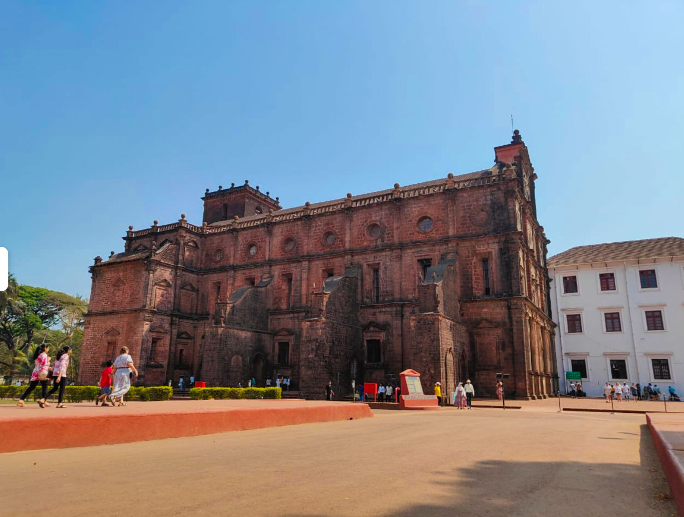 Avian Experiences: Tours, Activities & Attractions