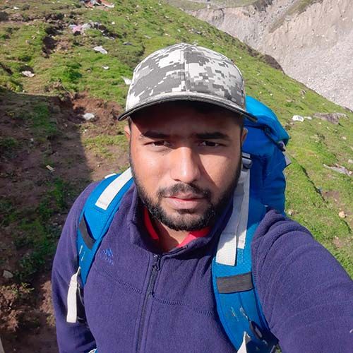 Avian Experiences: Tours, Activities & Attractions