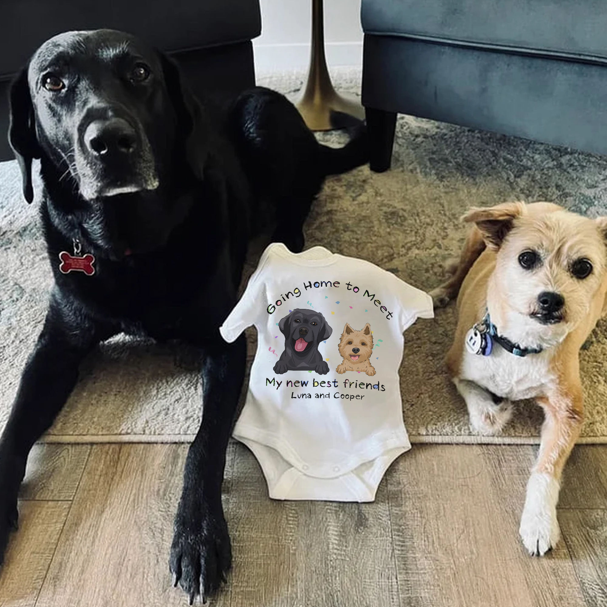 Custom Baby Onesies - going home to meet my new best friend ...