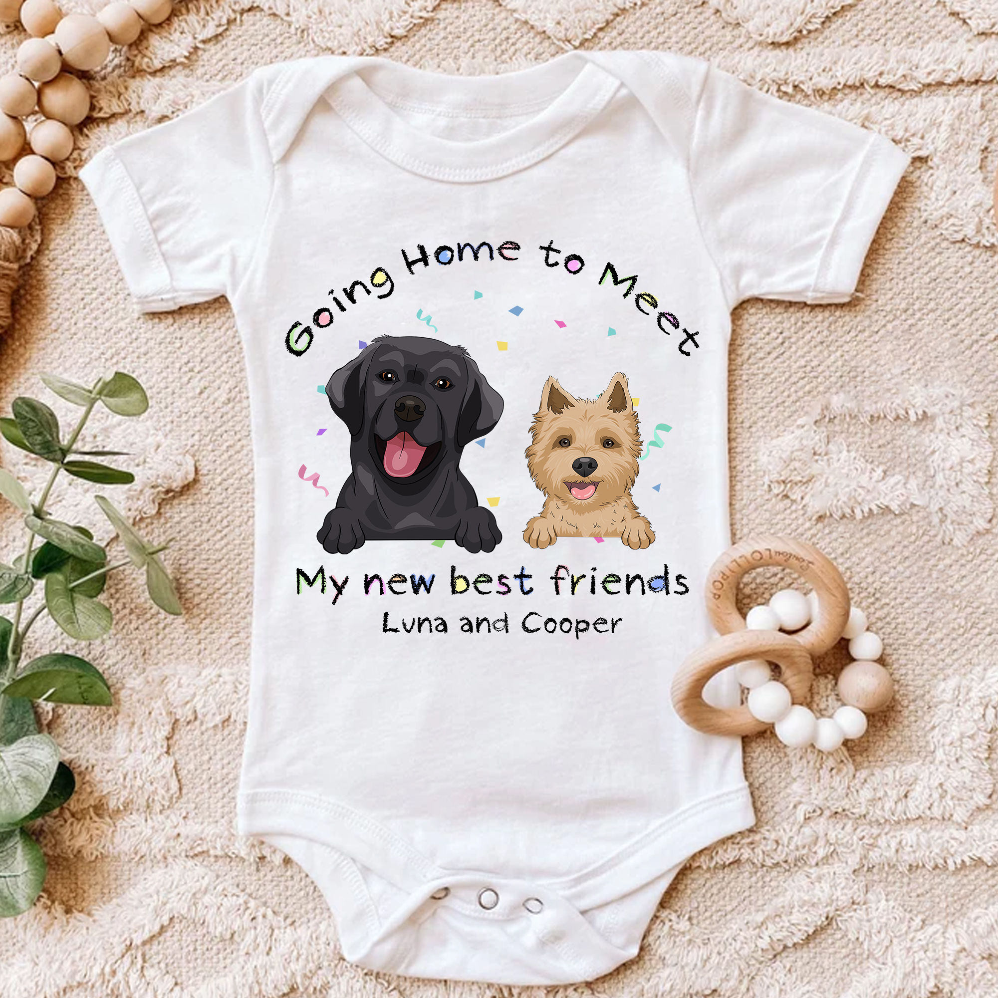 Custom Baby Onesies - going home to meet my new best friend ...
