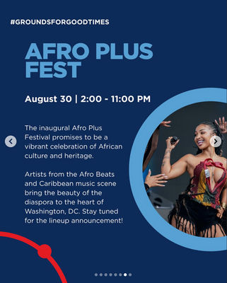 Afro Plus Fest - Caribbean Businesses & Events DC MD VA Events ...