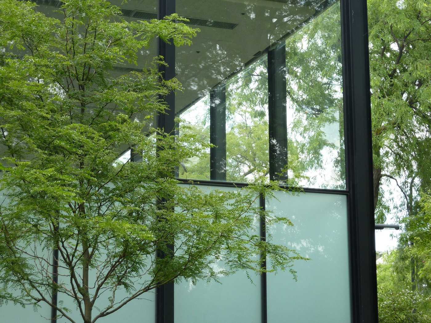 S.R. Crown Hall | Chicago Architecture Center