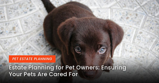 Safeguarding Your Furry Friends: Estate Planning for Pet Owners