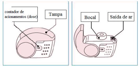 Bula Fostair (200,0 + 6,0)mcg/dose - Farmaindex