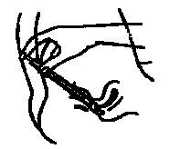 Bula Gynomax (20,0 + 30,0)mg/g - Farmaindex