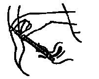 Bula Gynopac Plus 1000mg - Farmaindex