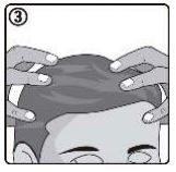 Bula Pant 50mg/ml - Farmaindex