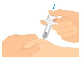 Hadlima (Adalimumabe) 40mg - Bula do paciente | Farmaindex