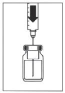 Lectrum (Acetato de Leuprorrelina) 3,75mg, 7,50mg - Bula do paciente ...